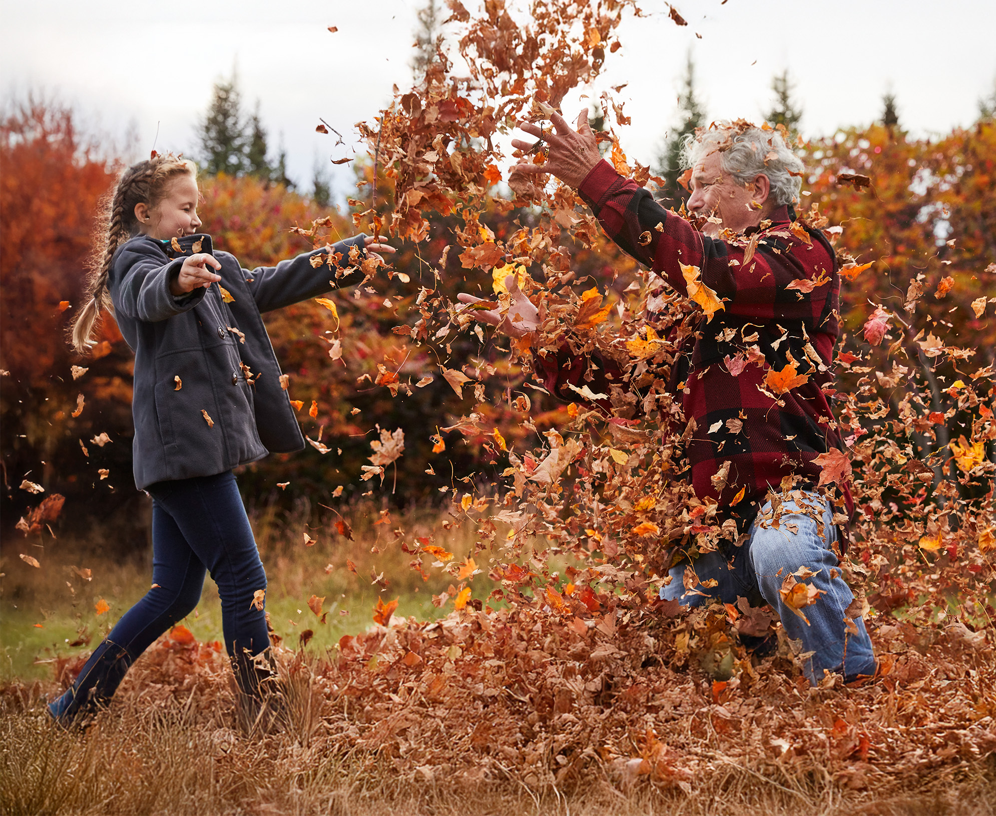 BCBSNM Health Insurance | Blue Cross and Blue Shield of New Mexico