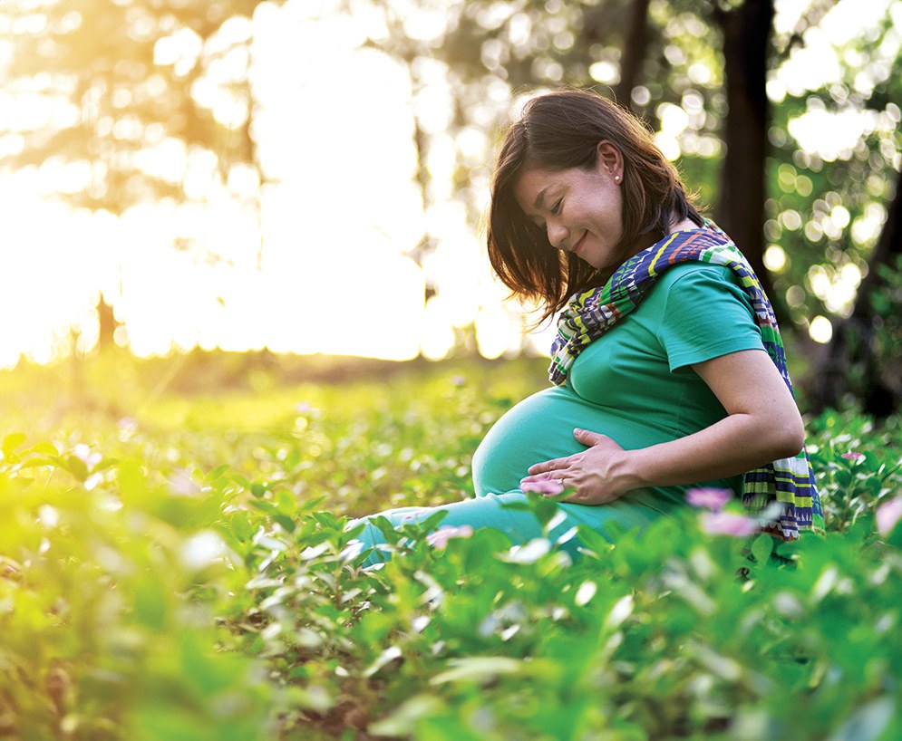 BCBSNM Health Insurance | Blue Cross and Blue Shield of New Mexico